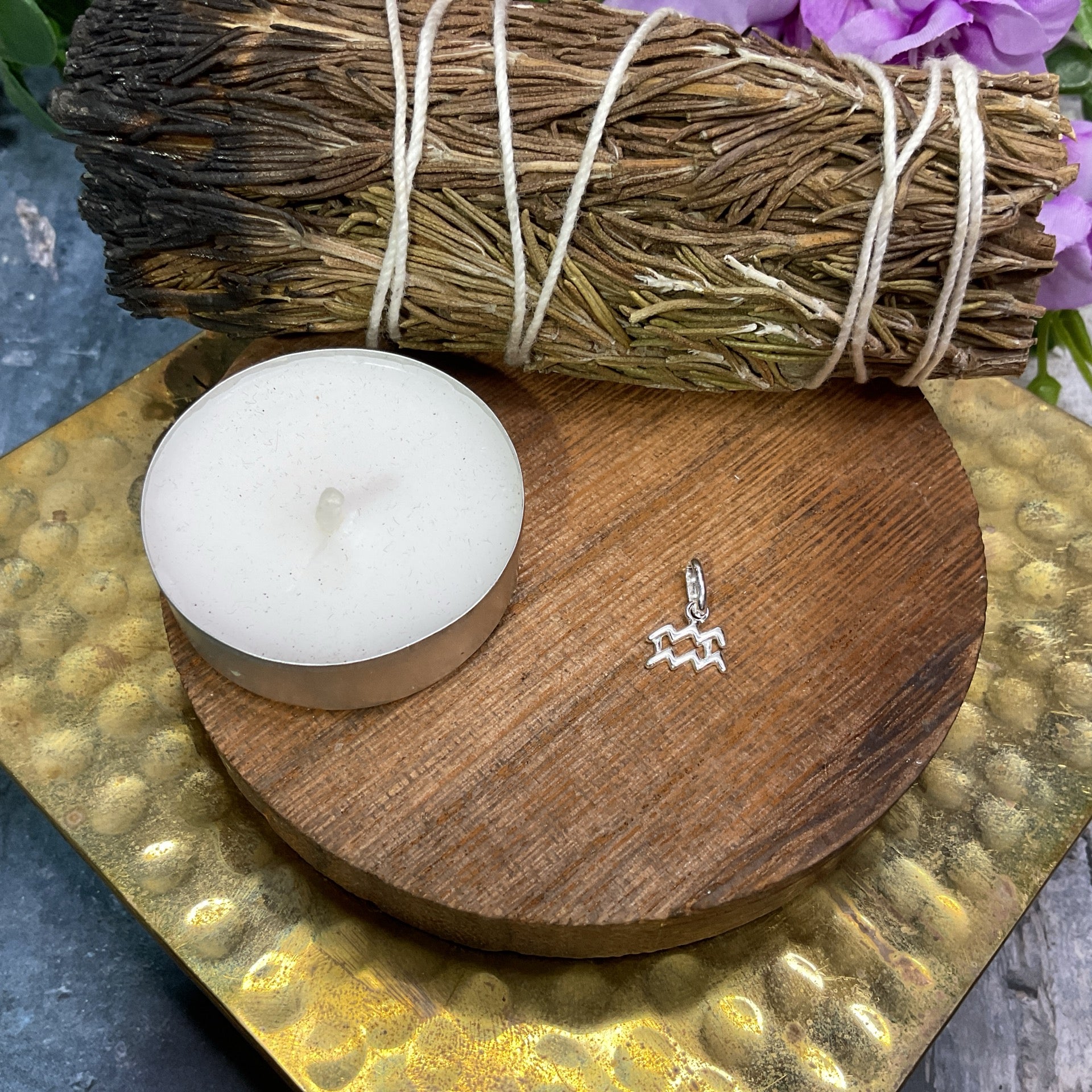 Aquarius Symbol | Bone and Branch
